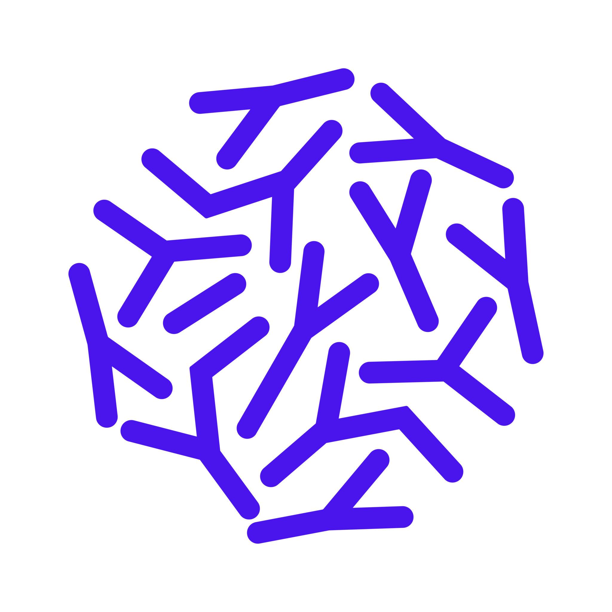 Bifidobacterium infantis - High-Quality Probiotics & Enzymes Finished ...