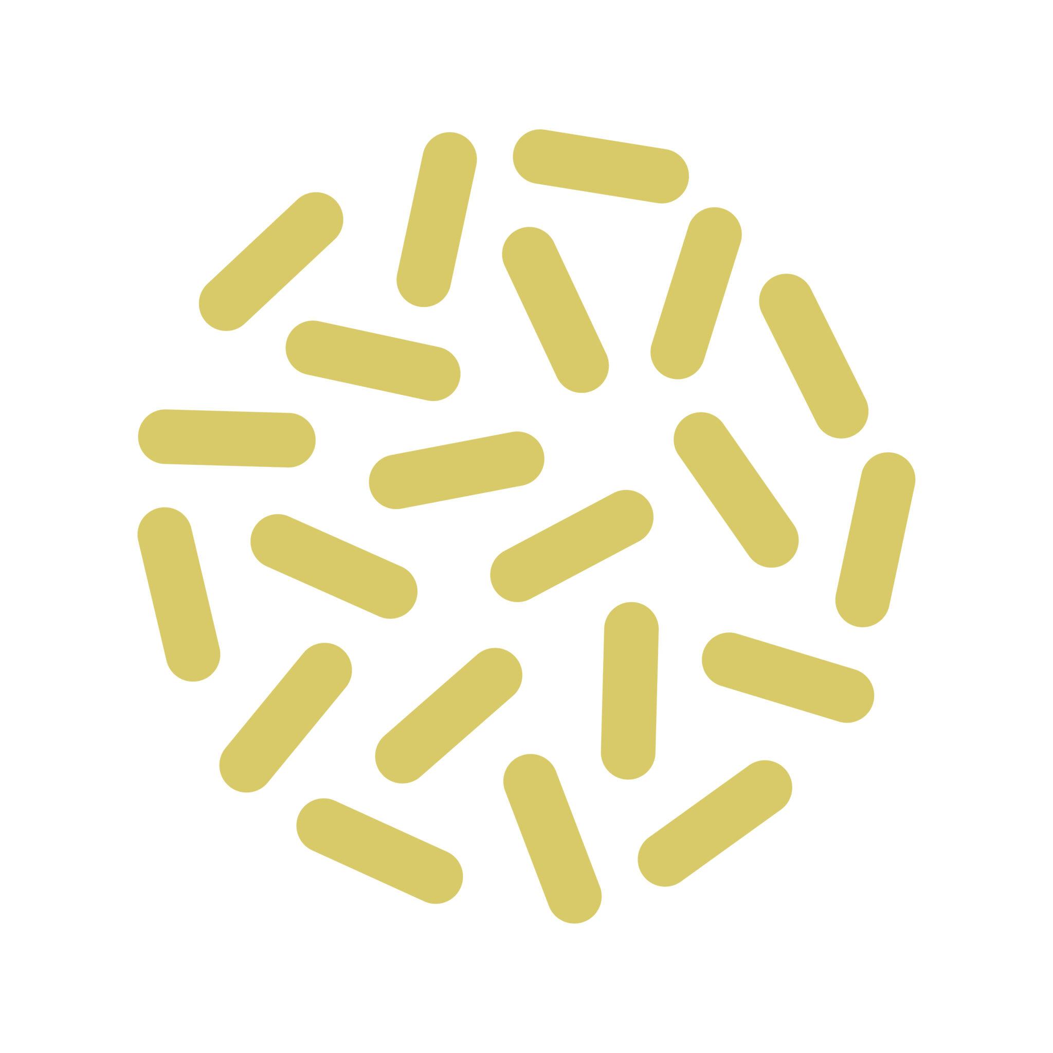 Single Strain Concentrates - High-Quality Probiotics & Enzymes Finished ...